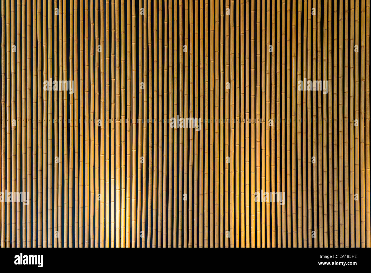 Bottom Lighting of Yellow Bamboo Wall Stock Photo - Alamy