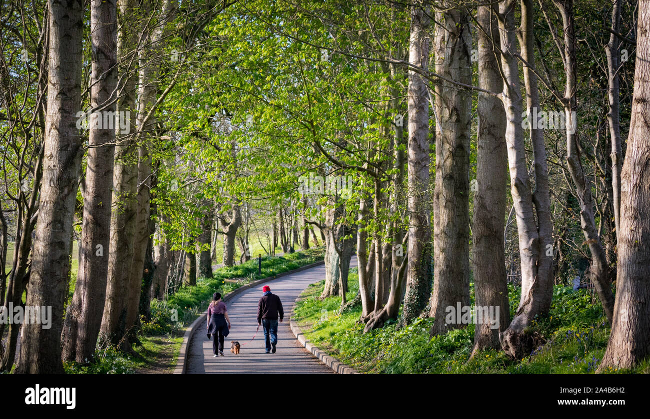 Couple walking dog in green landscape hi-res stock photography and ...