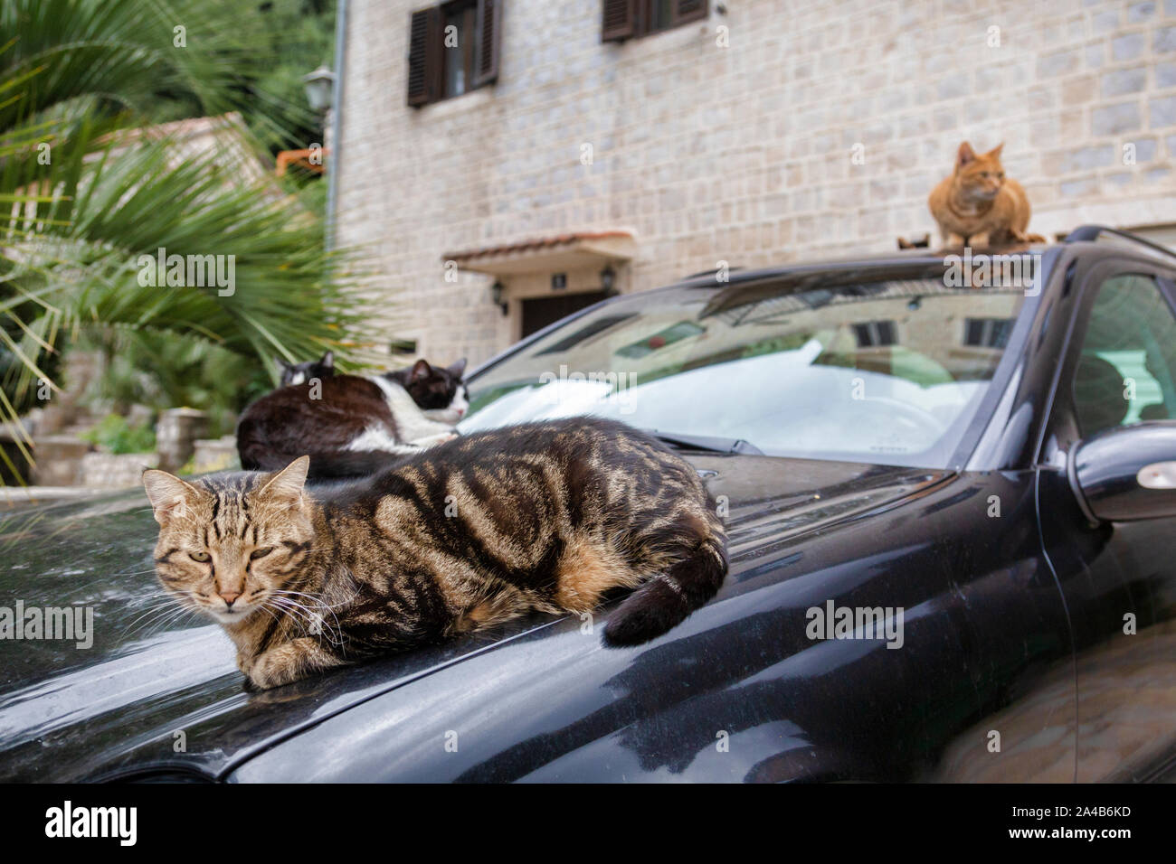 Bonnet roof hi-res stock photography and images - Alamy