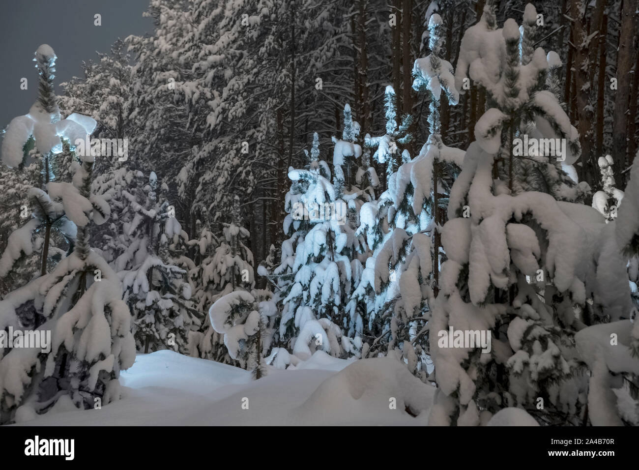 Spotlight in the night hi-res stock photography and images - Alamy