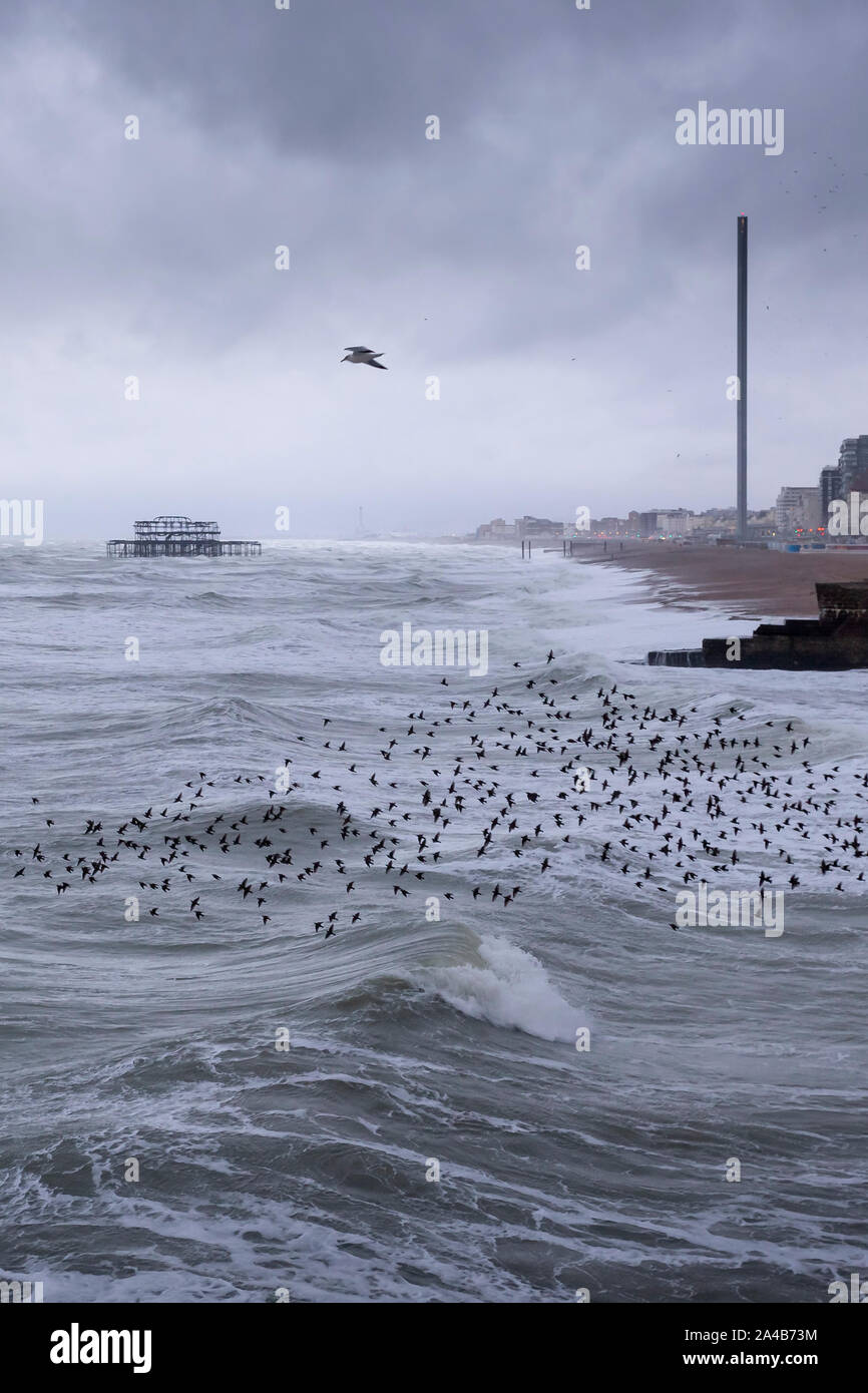 Brighton seafron hi-res stock photography and images - Alamy