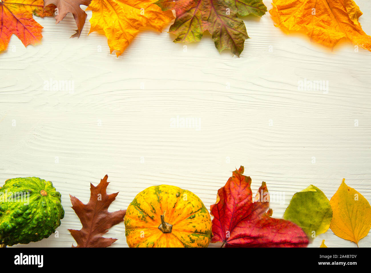 Bright autumn colors backgrounds, space for text, thanksgiving day ...