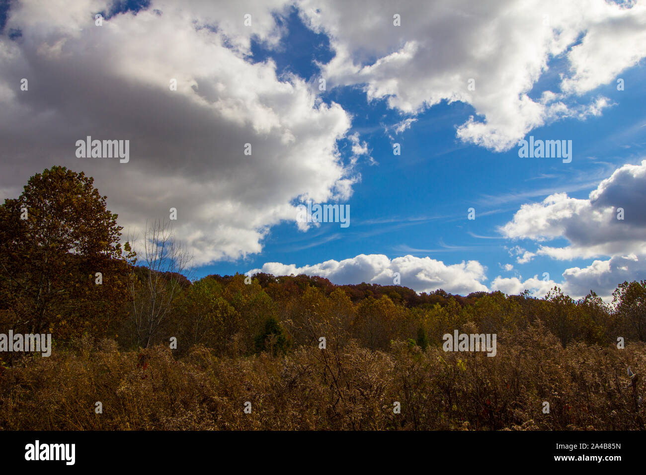 Highbanks Metropark, River Bluff Section in Autumn, Columbus, Ohio ...