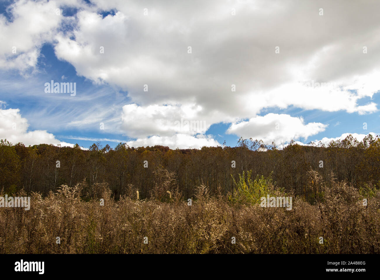 Highbanks Metropark, River Bluff Section in Autumn, Columbus, Ohio ...
