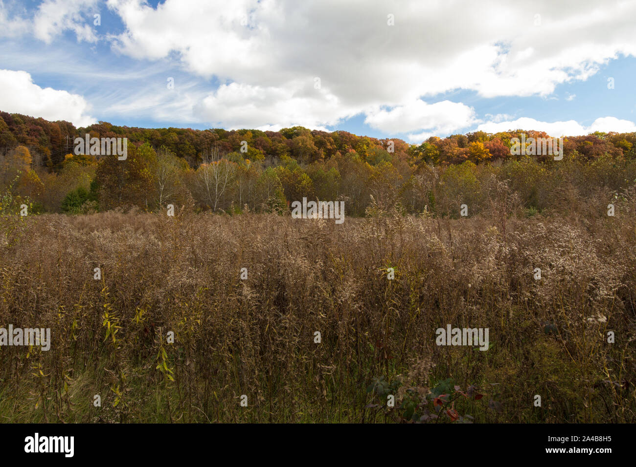 Highbanks Metropark, River Bluff Section in Autumn, Columbus, Ohio ...