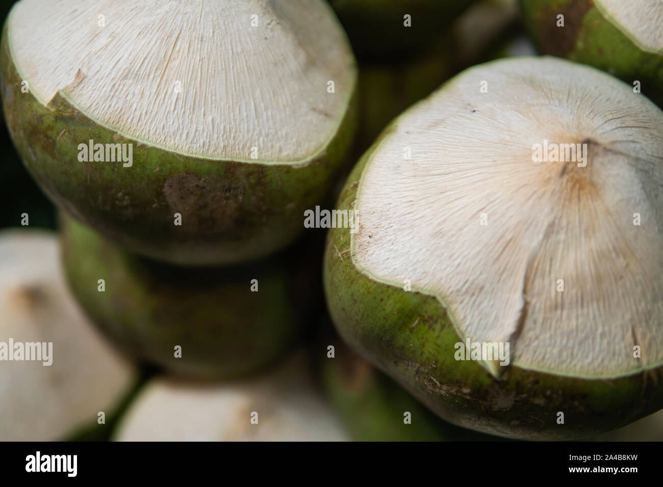 Fresh Coconut in the asian night market Stock Photo - Alamy
