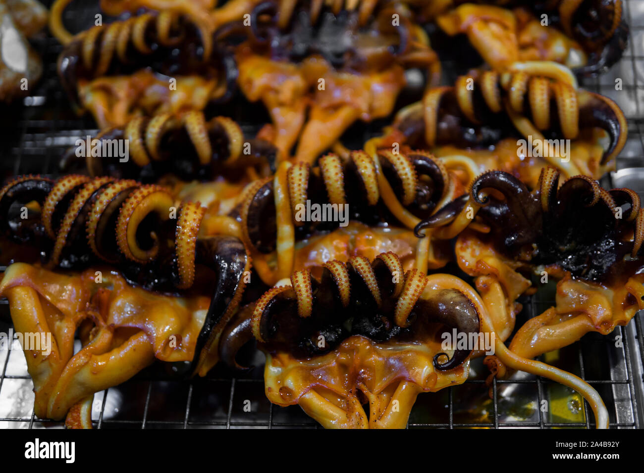 Squid grill on hot charcoal hot fire tasty delicious sea food. Grilled ...