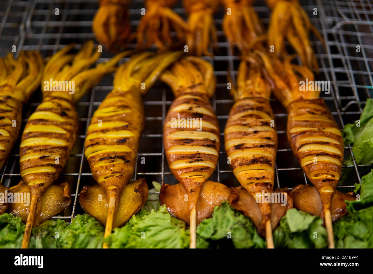 Squid grill on hot charcoal hot fire tasty delicious sea food. Grilled ...