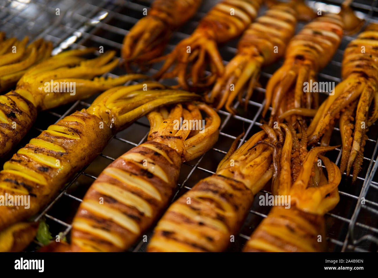 Squid grill on hot charcoal hot fire tasty delicious sea food. Grilled ...