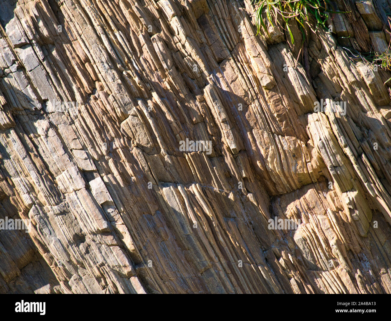 Phyllite hi-res stock photography and images - Alamy