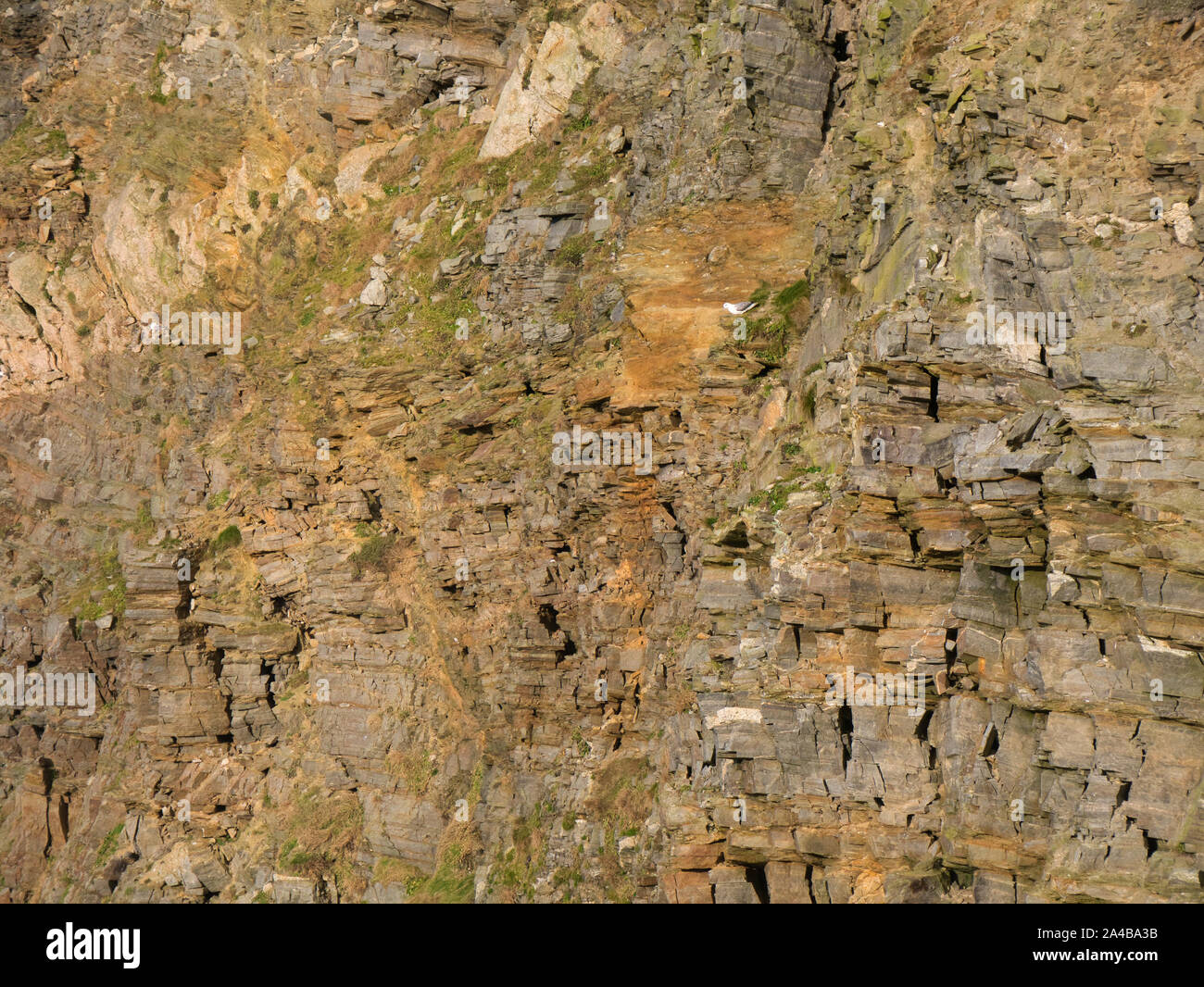 Gneissose semipelite hi-res stock photography and images - Alamy