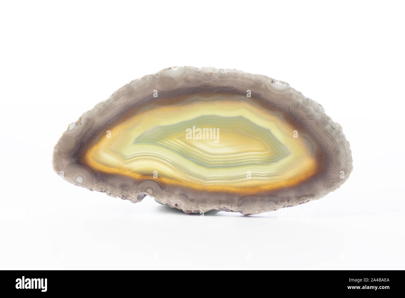 Polished slice of agate mineral from Brasil with multiple colors ...