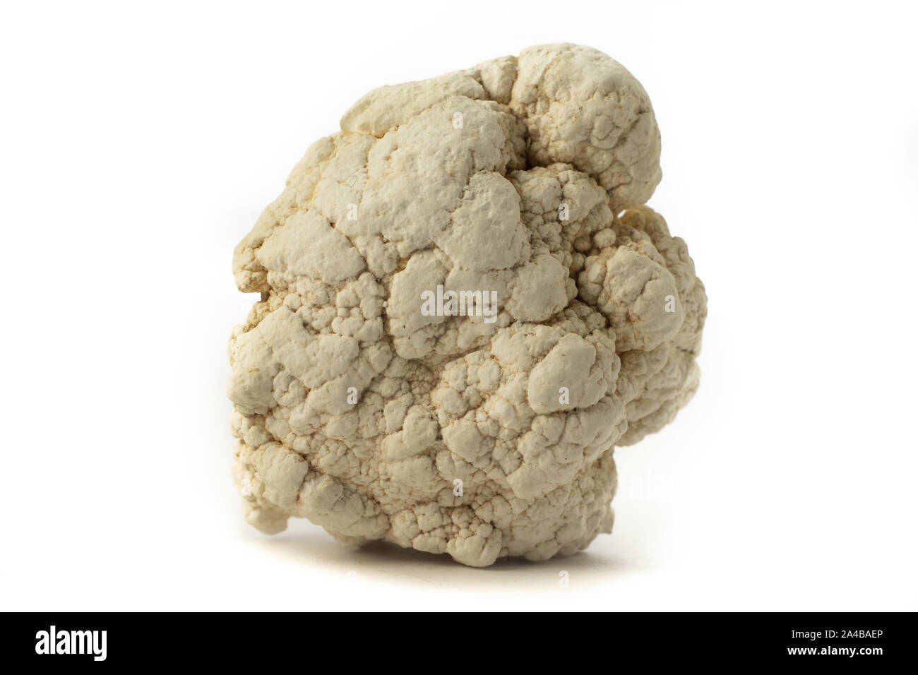 Magnesite mineral from Namibia isolated on a pure white background ...