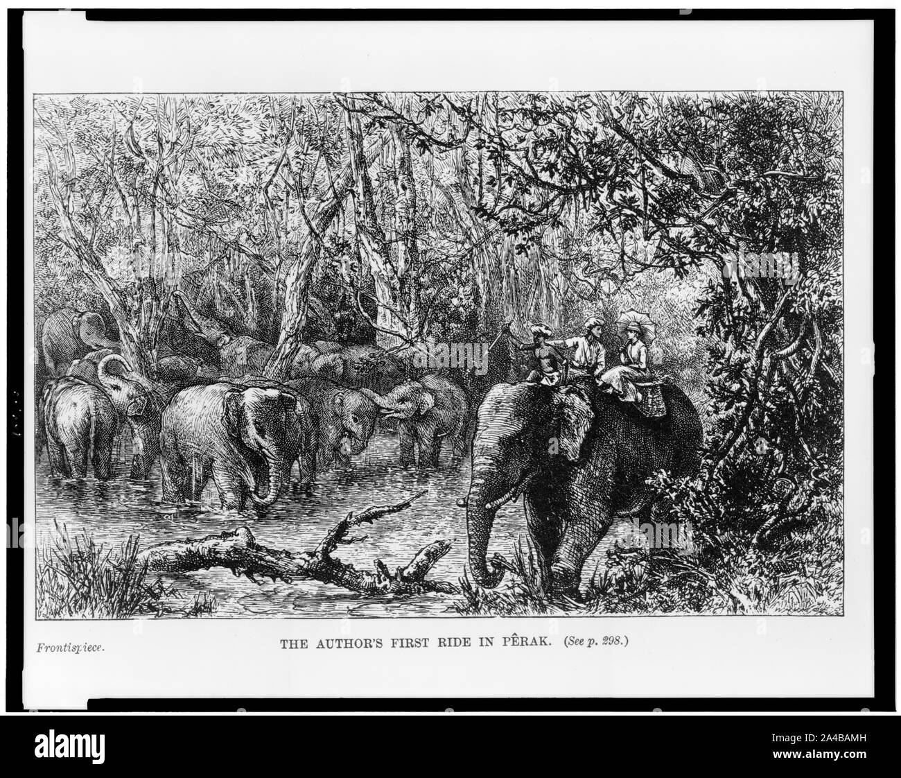 Nature first Cut Out Stock Images & Pictures - Alamy