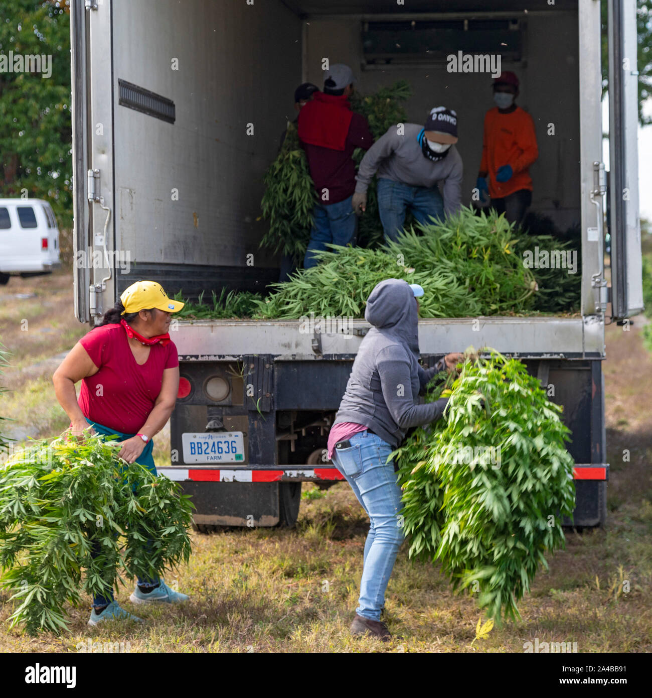 Family farm labor hi-res stock photography and images - Alamy