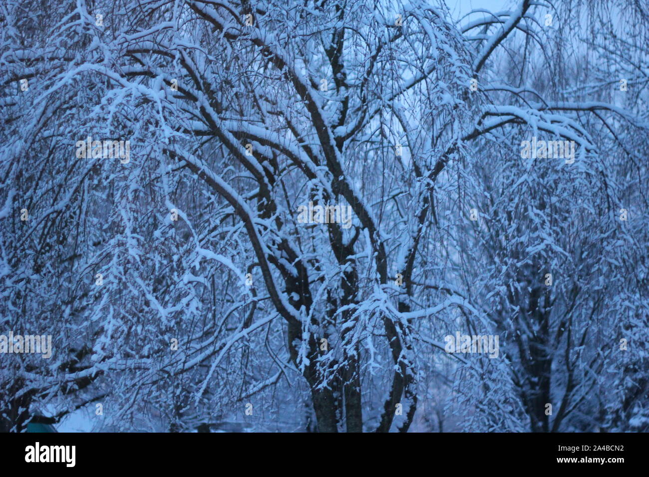 Winter Storm in a Neighborhood Stock Photo - Alamy