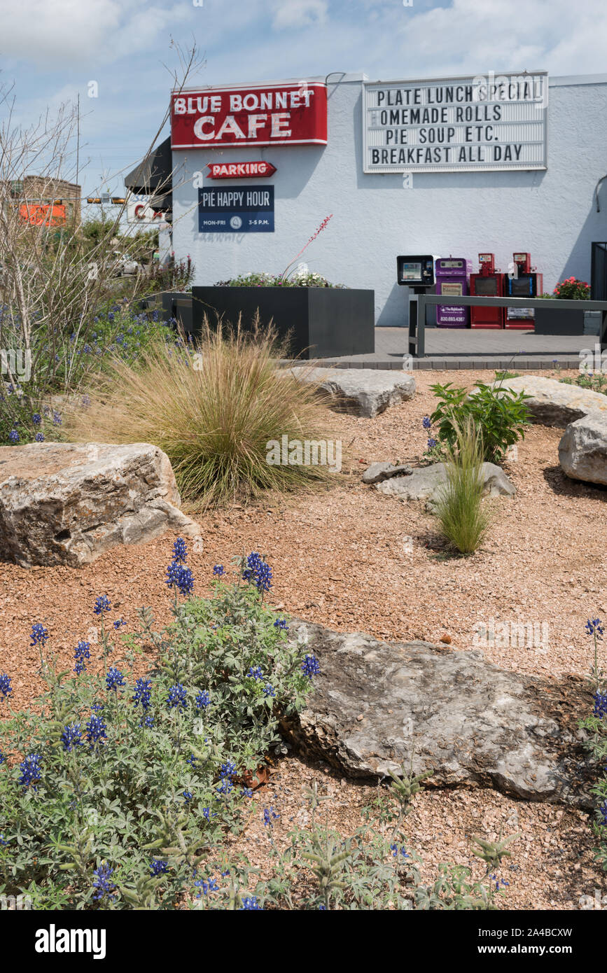 Blue bonnet cafe marble falls hi-res stock photography and images - Alamy