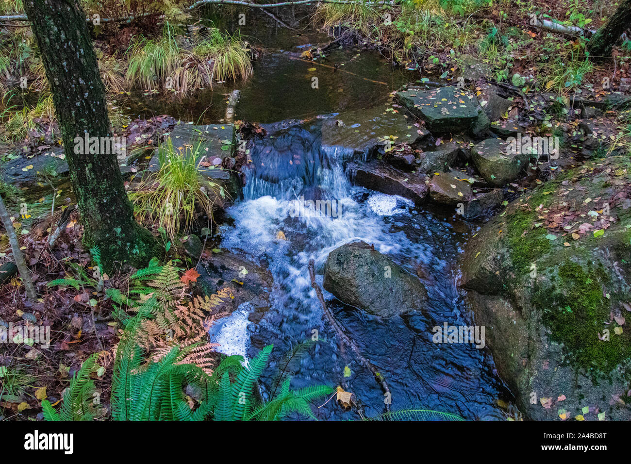 Small waterfall wallpaper hi-res stock photography and images - Alamy