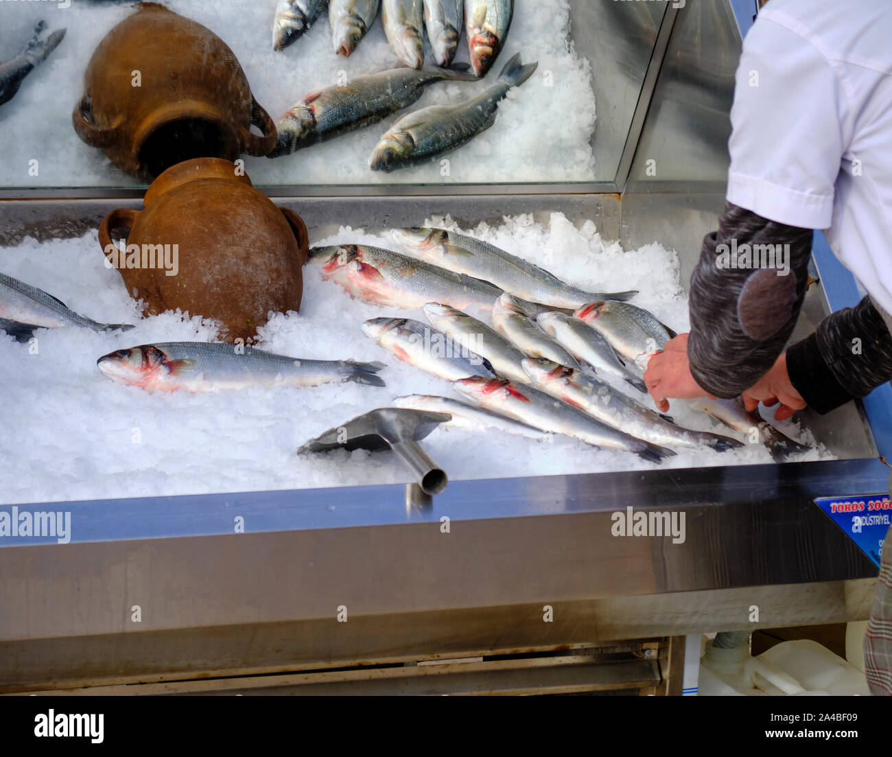 Fresh Fish Display High Resolution Stock Photography and Images - Alamy