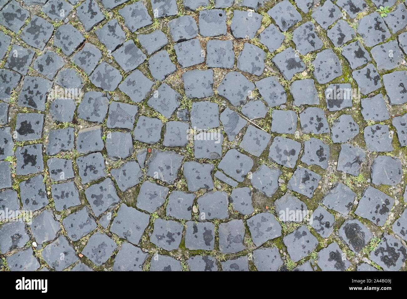 Old round paving stones of gray stones, wet after rain, abstract ...