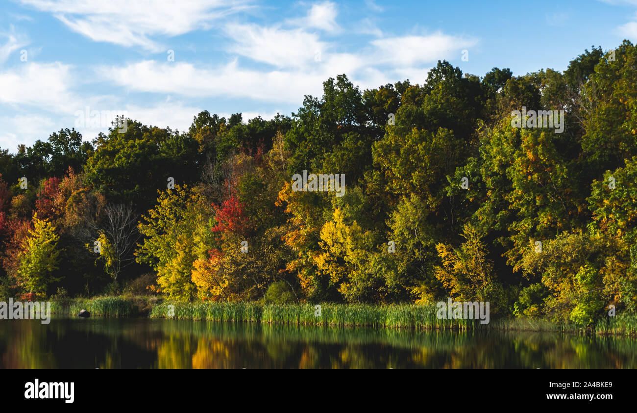 Trees By The Water Stock Photo - Alamy