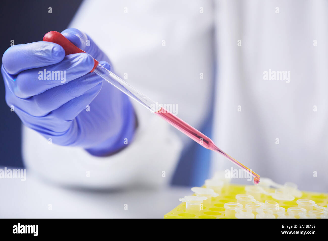 Scientist holding dropper test tube hi-res stock photography and images ...