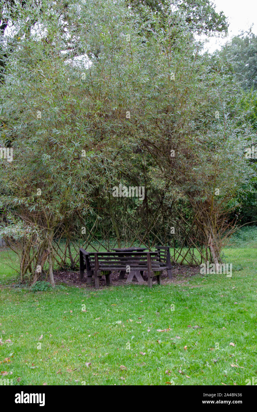 Seating under a tree hi-res stock photography and images - Alamy