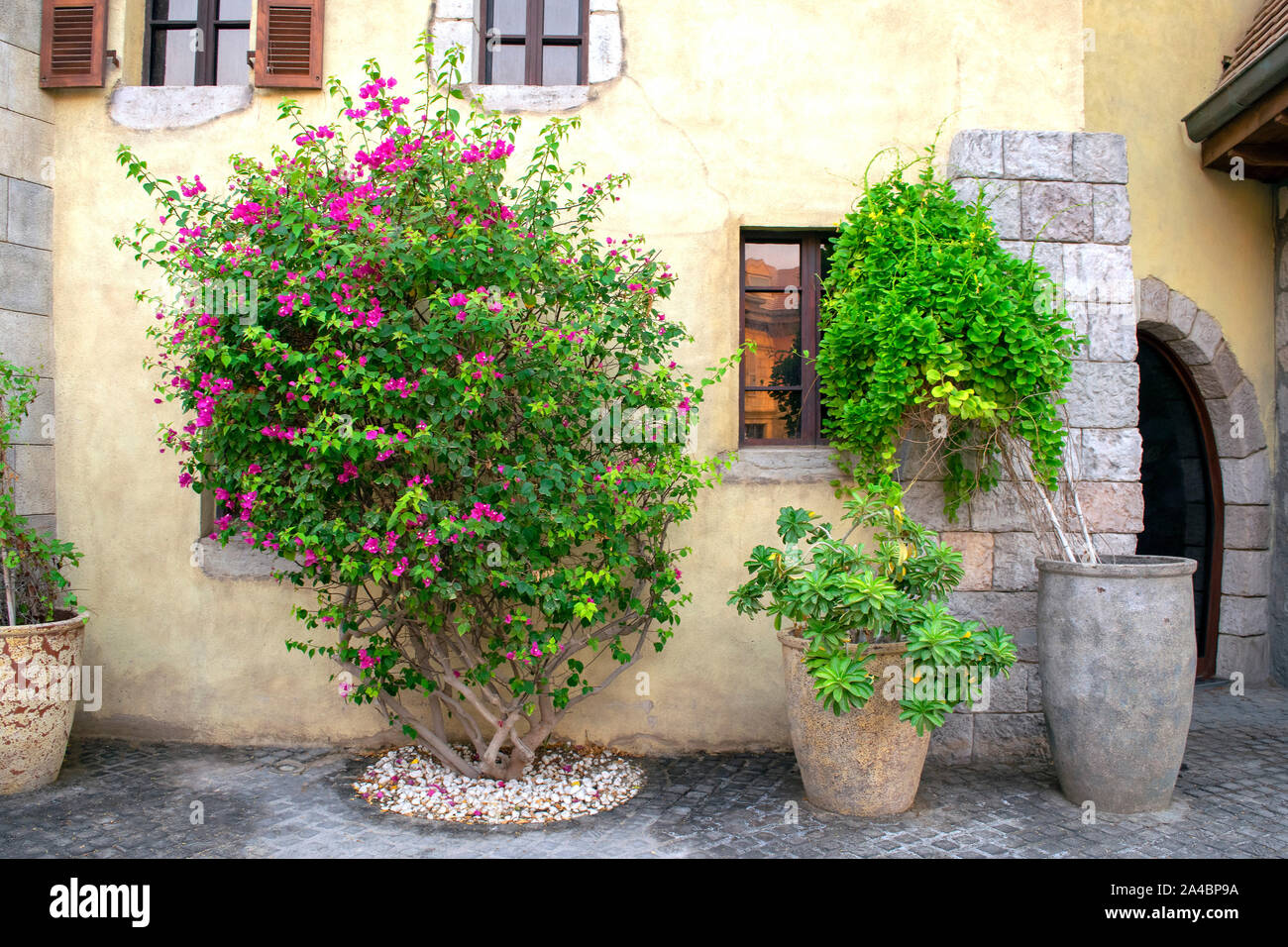 Big green plants in stone pots next to old european style buildings ...
