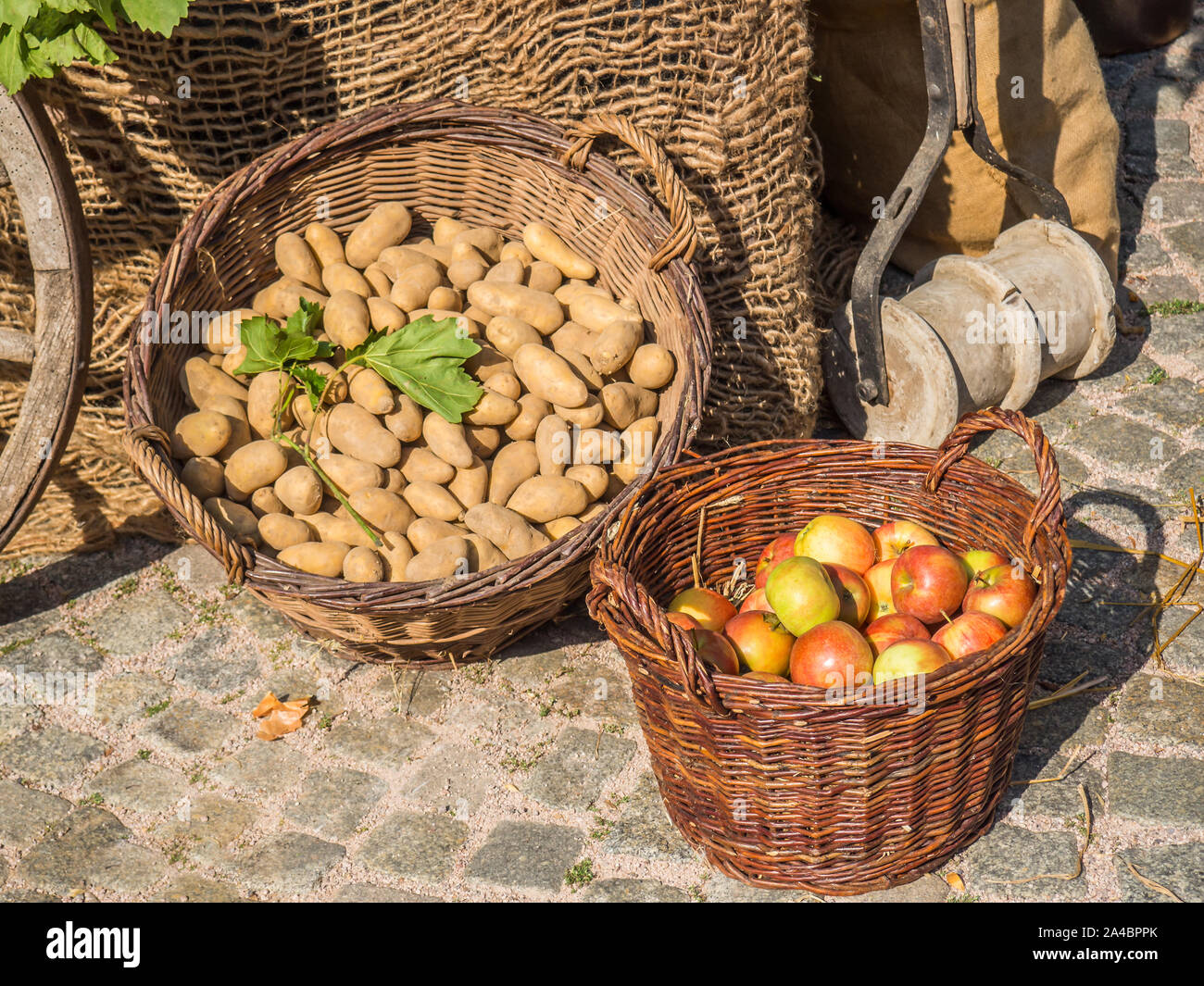 agricultural baskets of fruits Stock Photo - Alamy