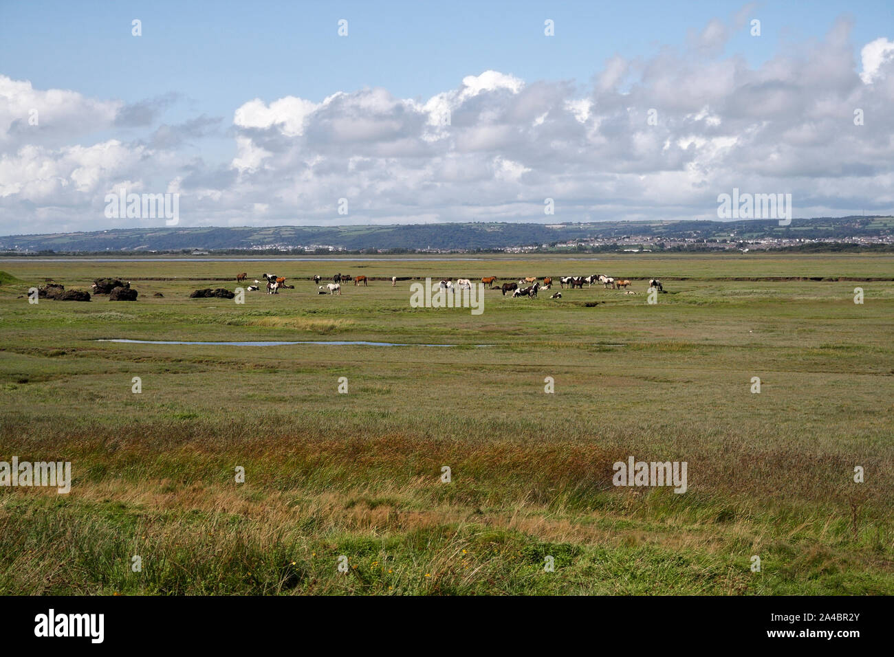 The Loughor estuary and the North Gower Peninsula from Penclawydd ...