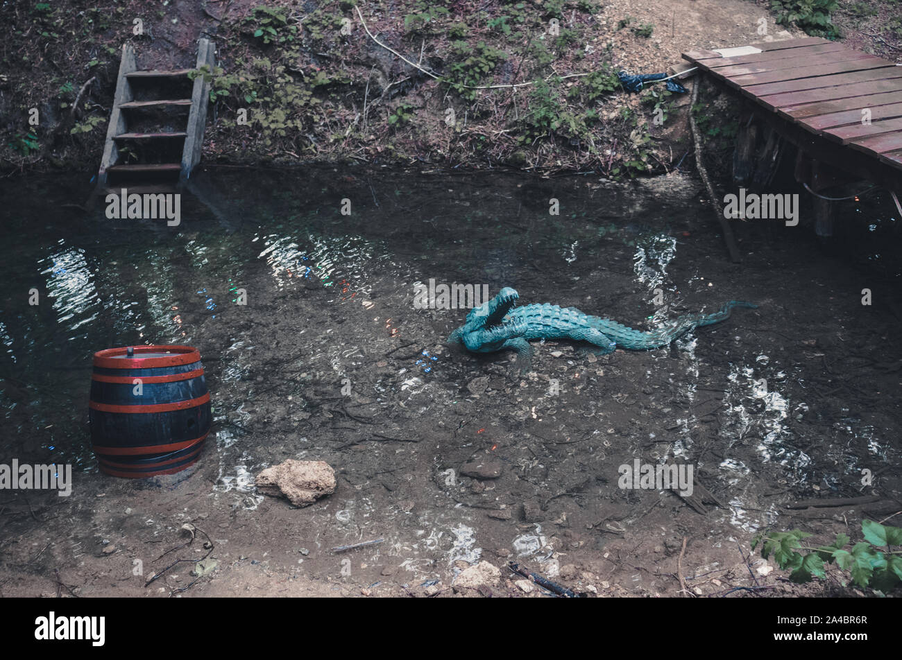 Ali gator with a barrel in water Stock Photo - Alamy