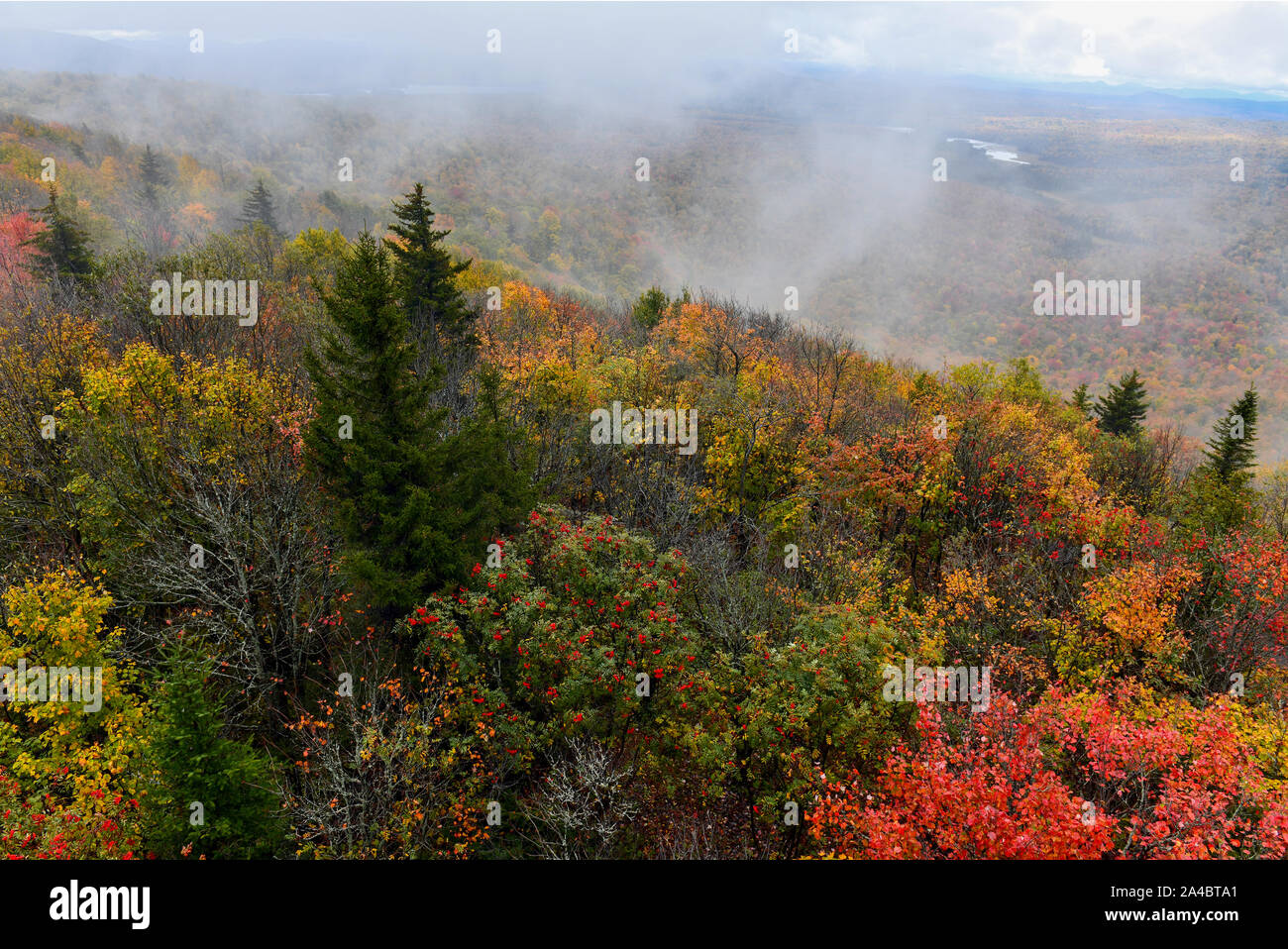 Autumn foliage in the Adirondack Mountains New York, USA Stock Photo ...