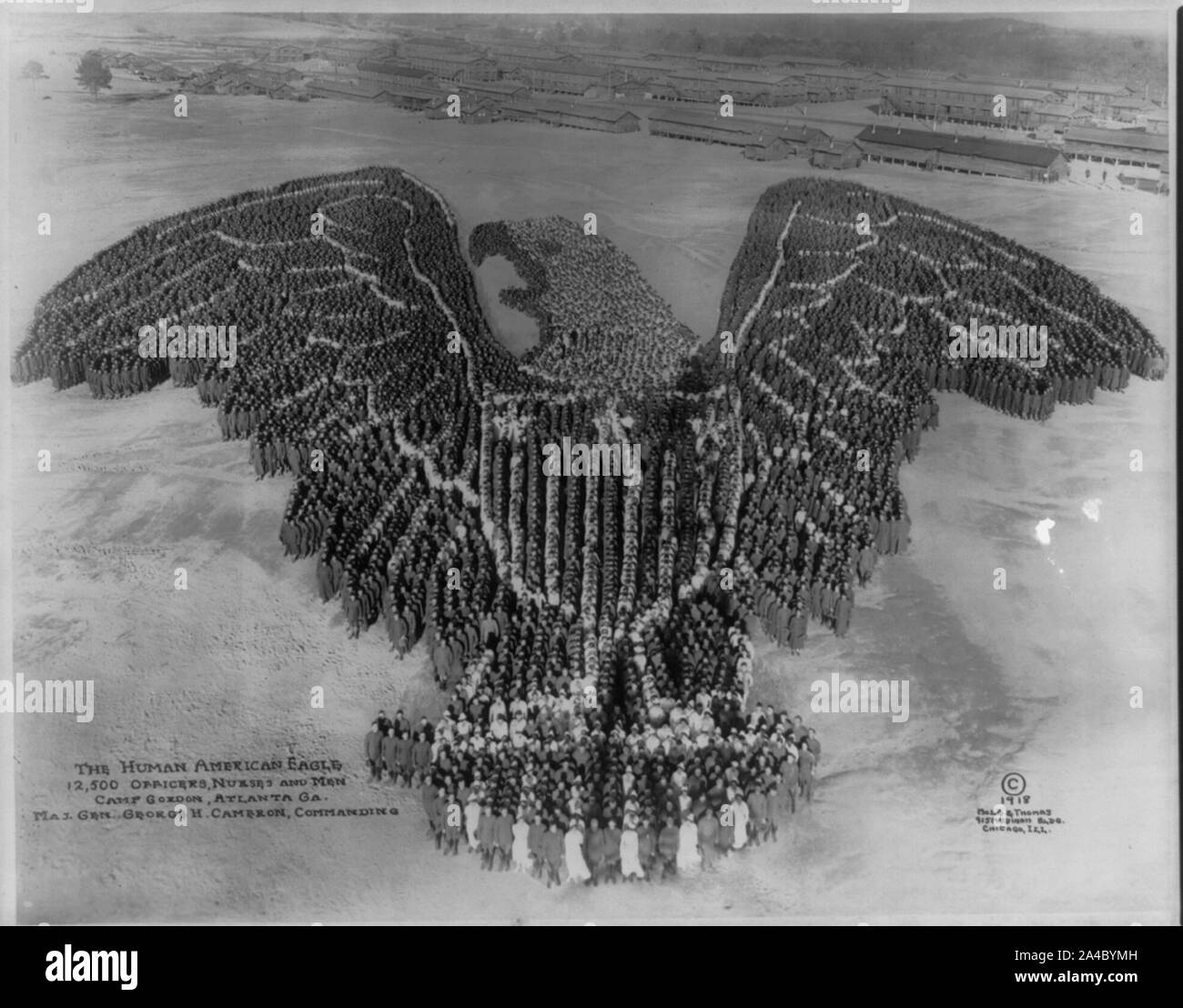 Mythology eagle Black and White Stock Photos & Images - Alamy