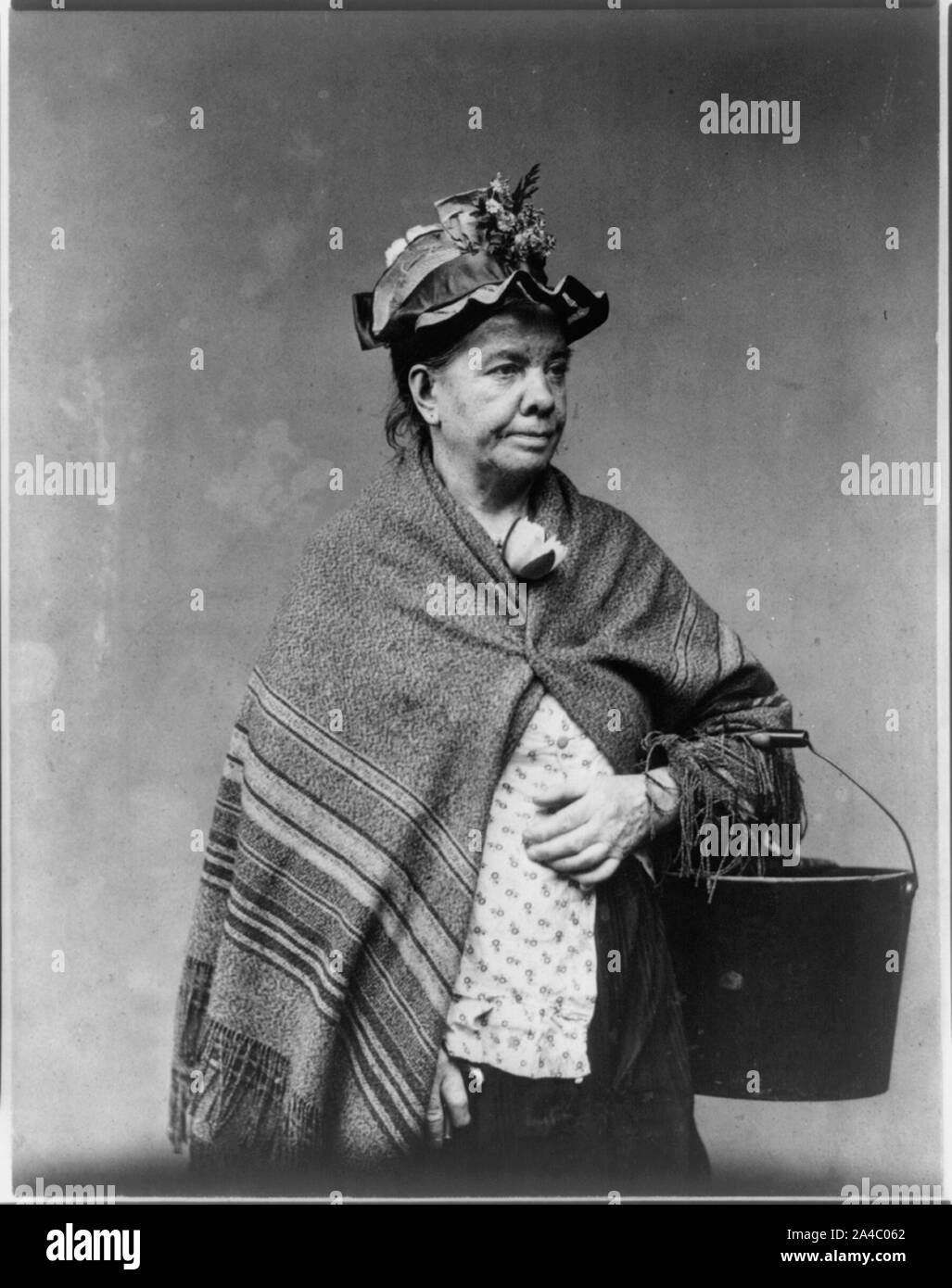 The Irish lily Stock Photo - Alamy