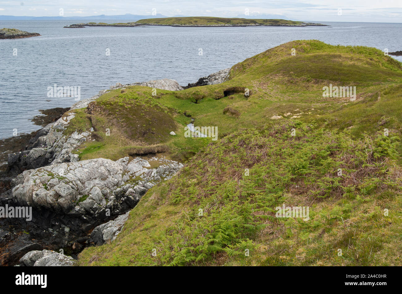 Otter lutra lutra holt hi-res stock photography and images - Alamy