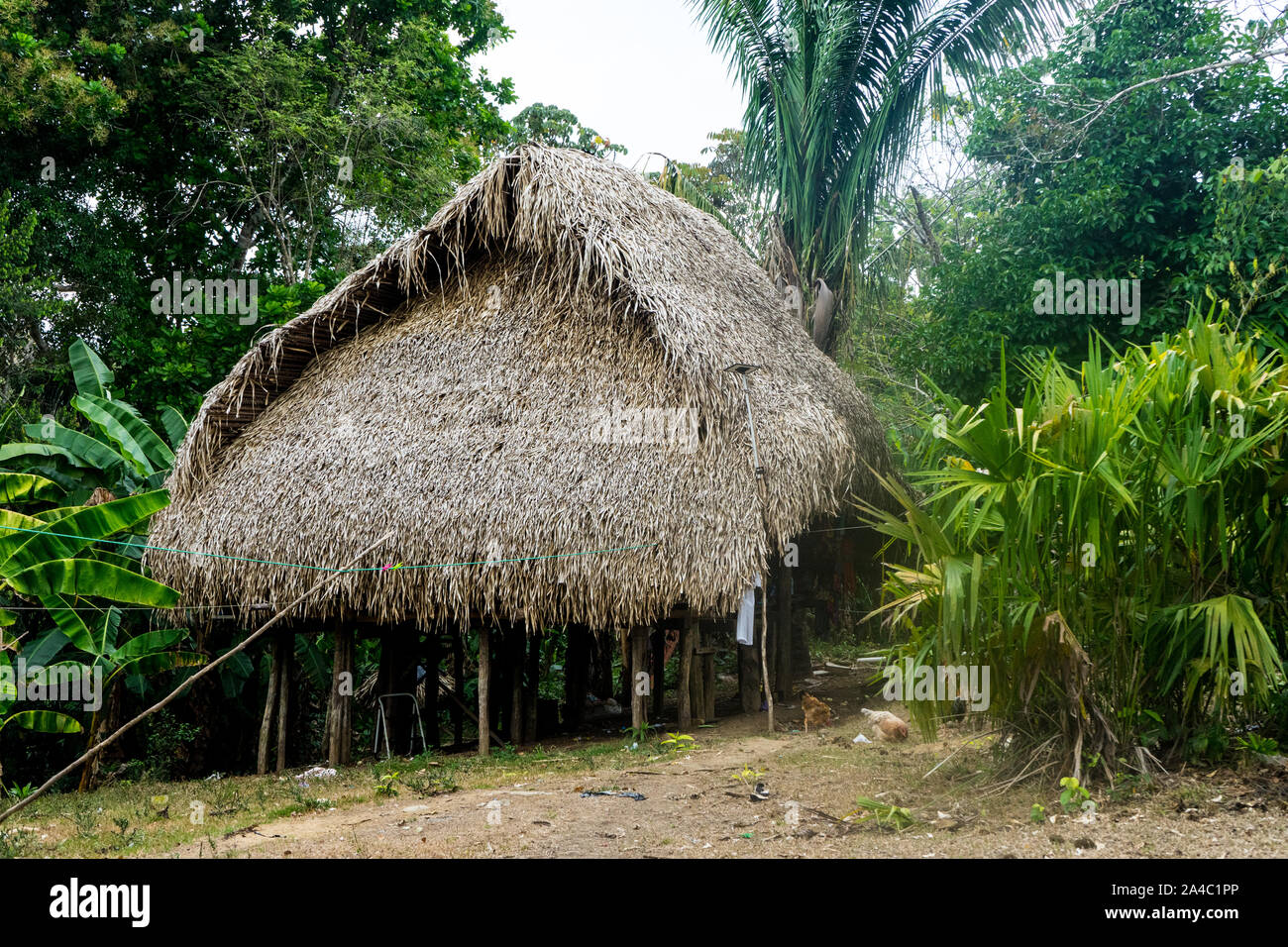 Local tours panama hi-res stock photography and images - Alamy