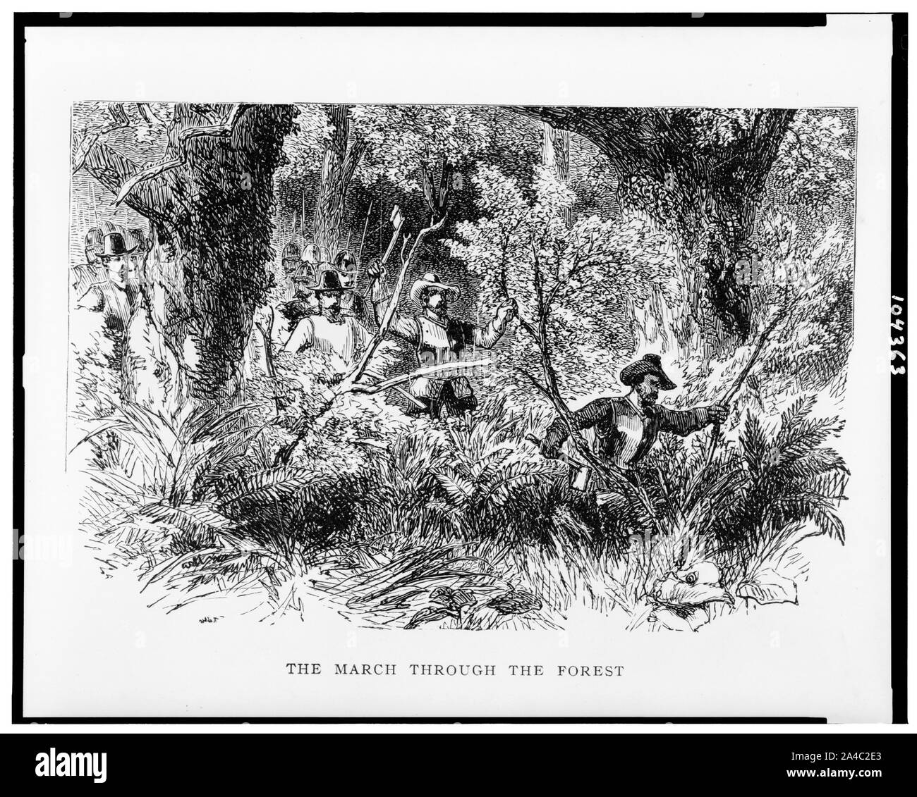 Through the forest Black and White Stock Photos & Images - Alamy