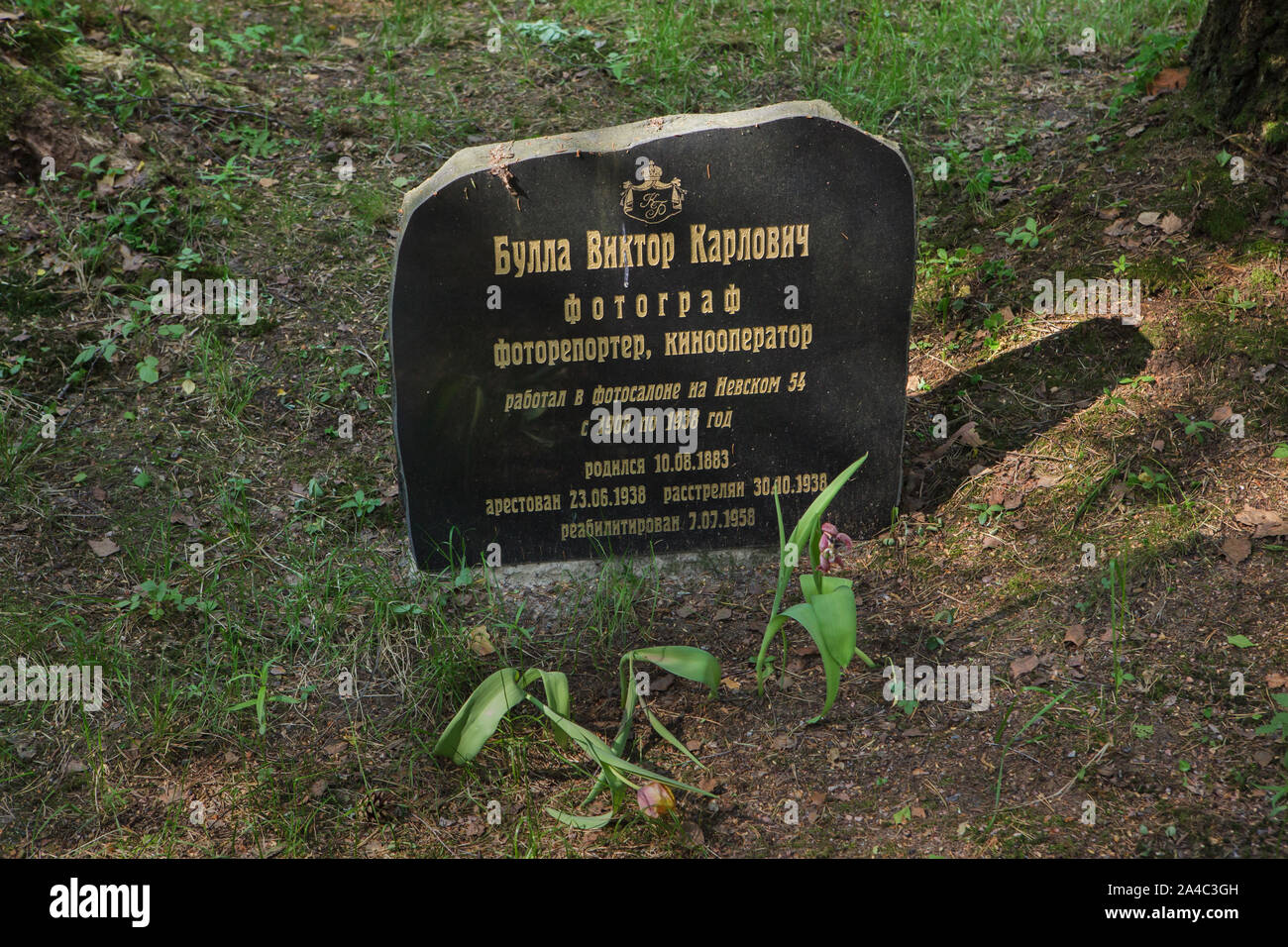 Purge execution hi-res stock photography and images - Alamy