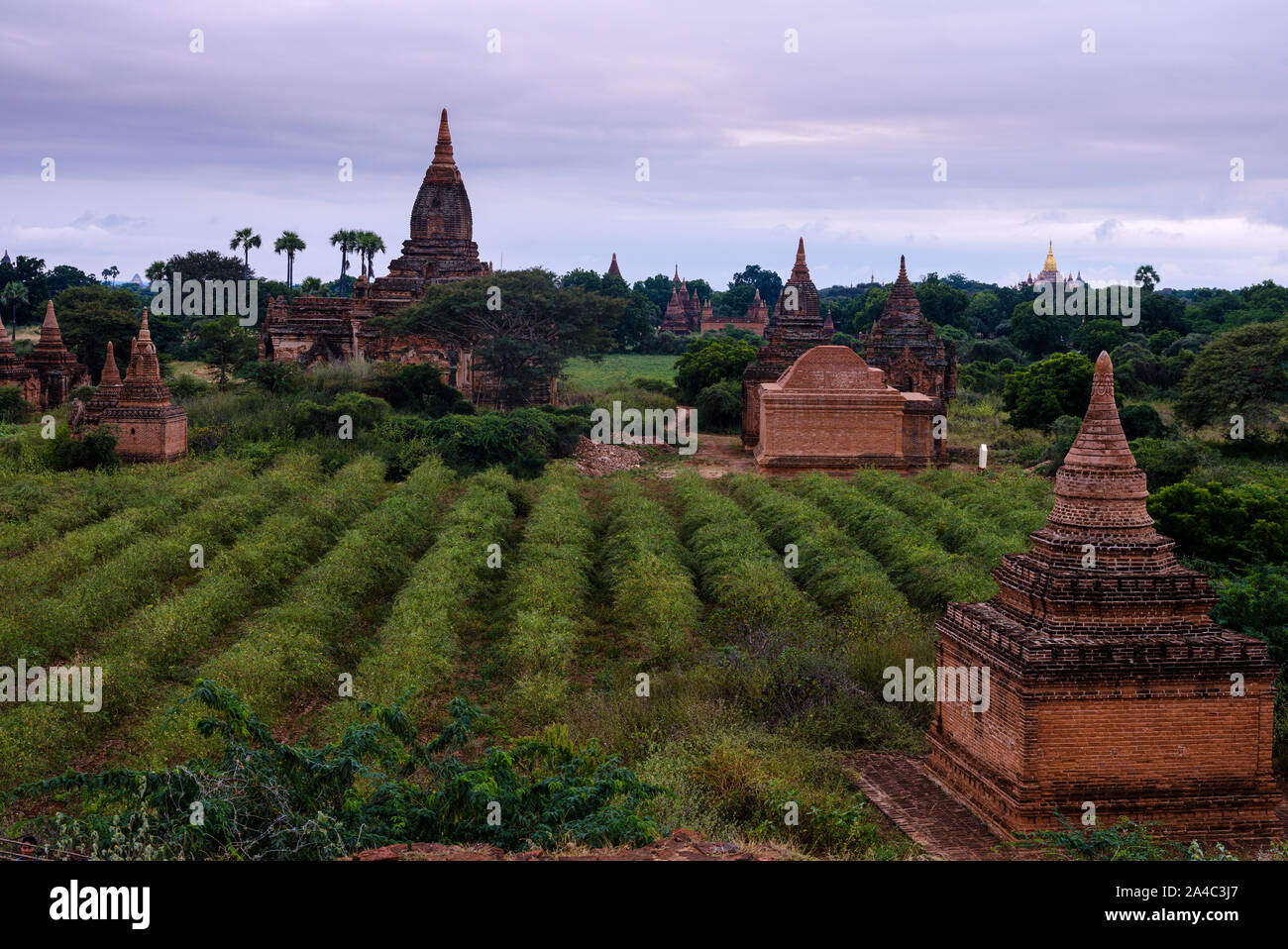 BAGAN, MYANMAR - CIRCA DECEMBER 2017: Temple over the plains of Bagan ...