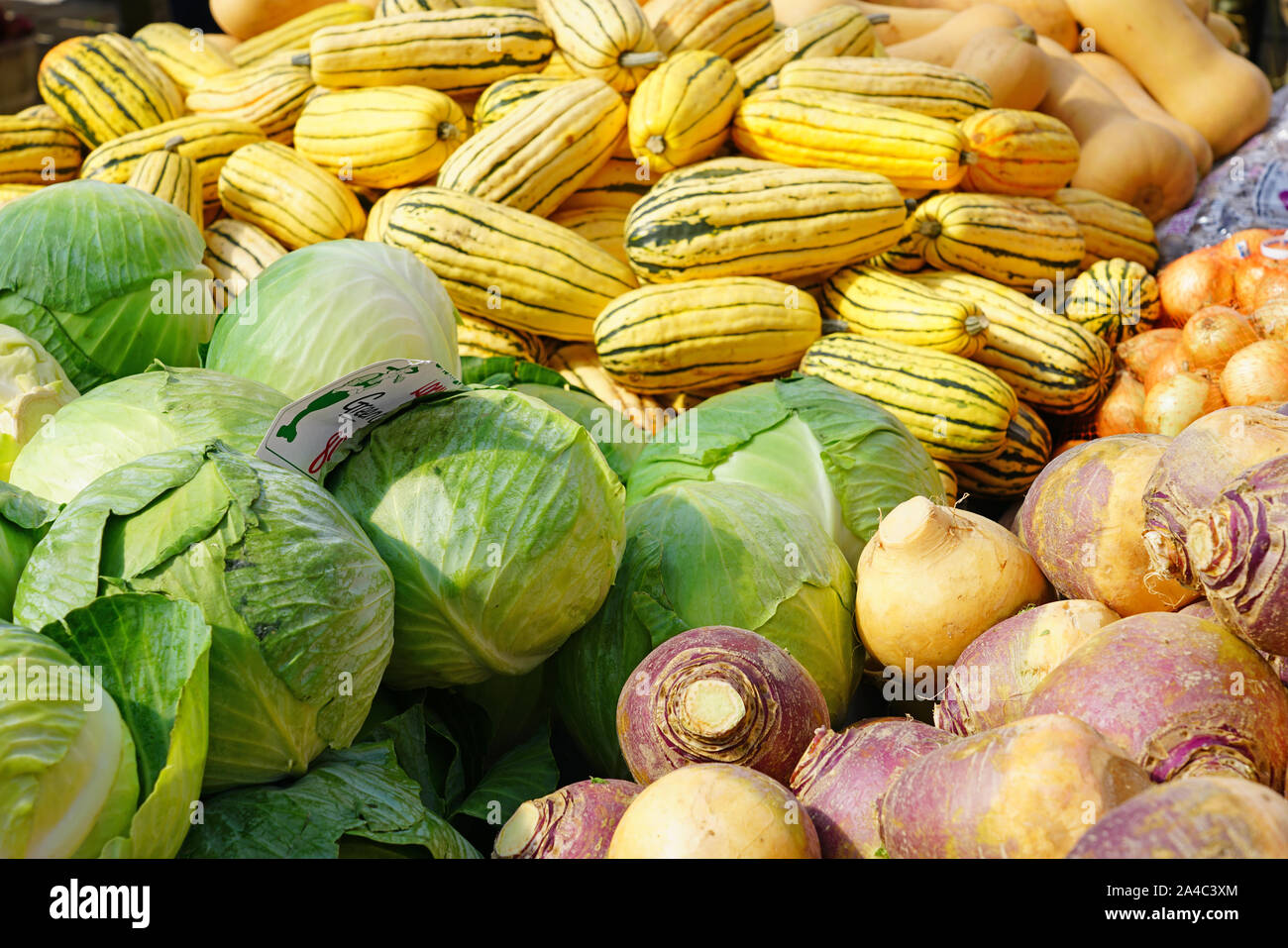 Purple and white rutabaga swede root vegetable at a farmers market in ...