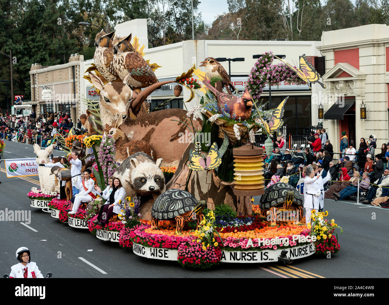 The Nurses' Float, decorated by registered nurses from across the ...
