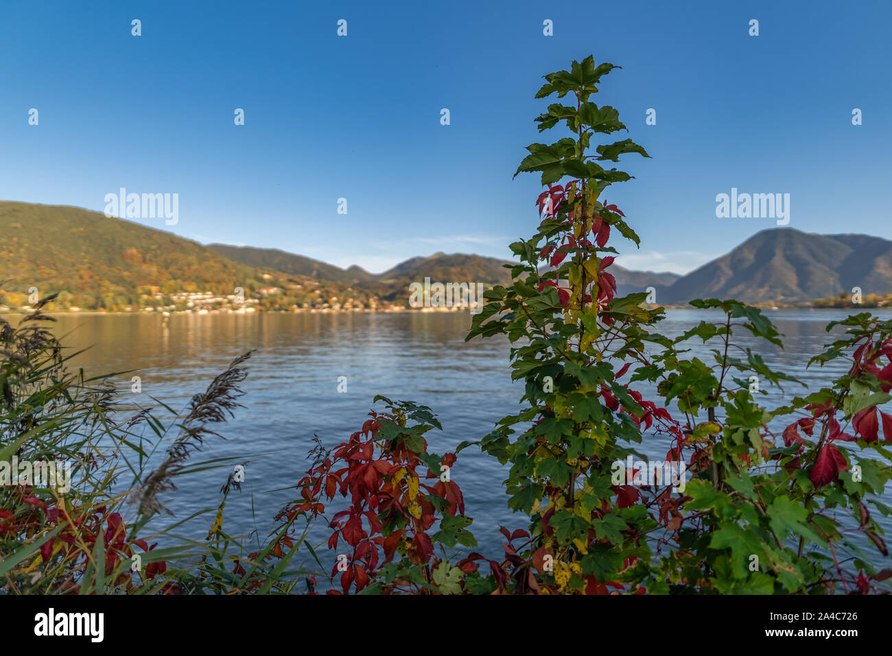 Beauty oin nature hi-res stock photography and images - Alamy
