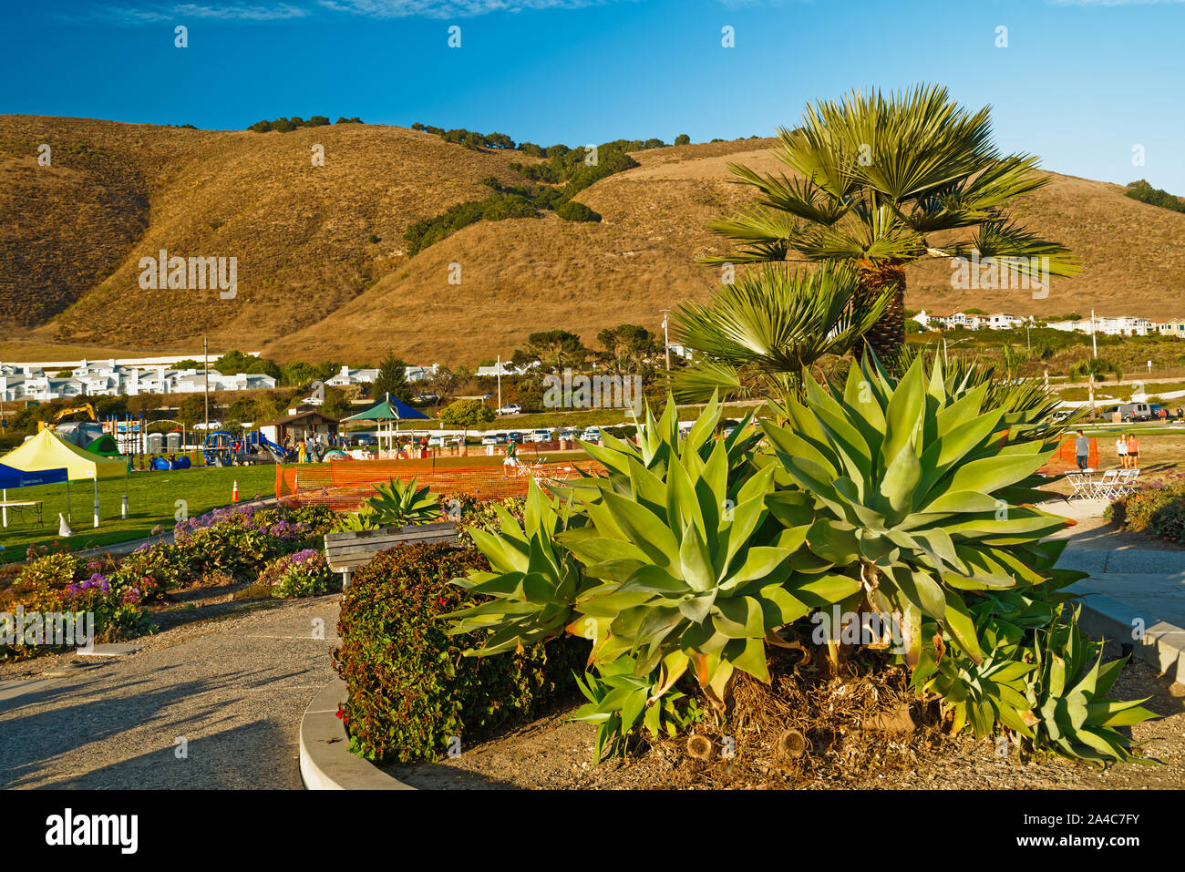 Dinosaur caves shell beach hi-res stock photography and images - Alamy