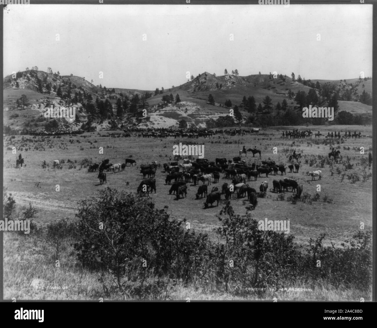 Roundup traditions Black and White Stock Photos & Images - Alamy
