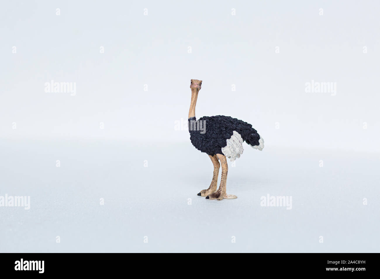 miniature figure of animals toy. Plastic ostrich toy on white Stock ...