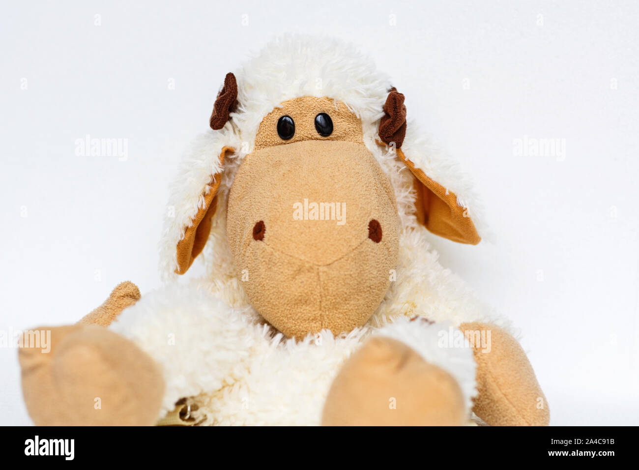 Stuffed Sheep soft plush toy on white background Stock Photo - Alamy