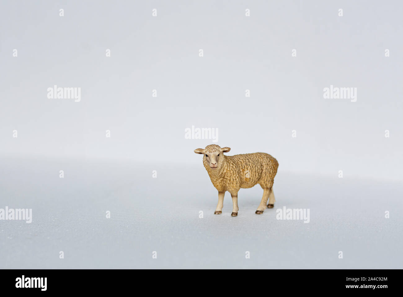 miniature figure of animals toy. Plastic sheep toy on white Stock Photo ...