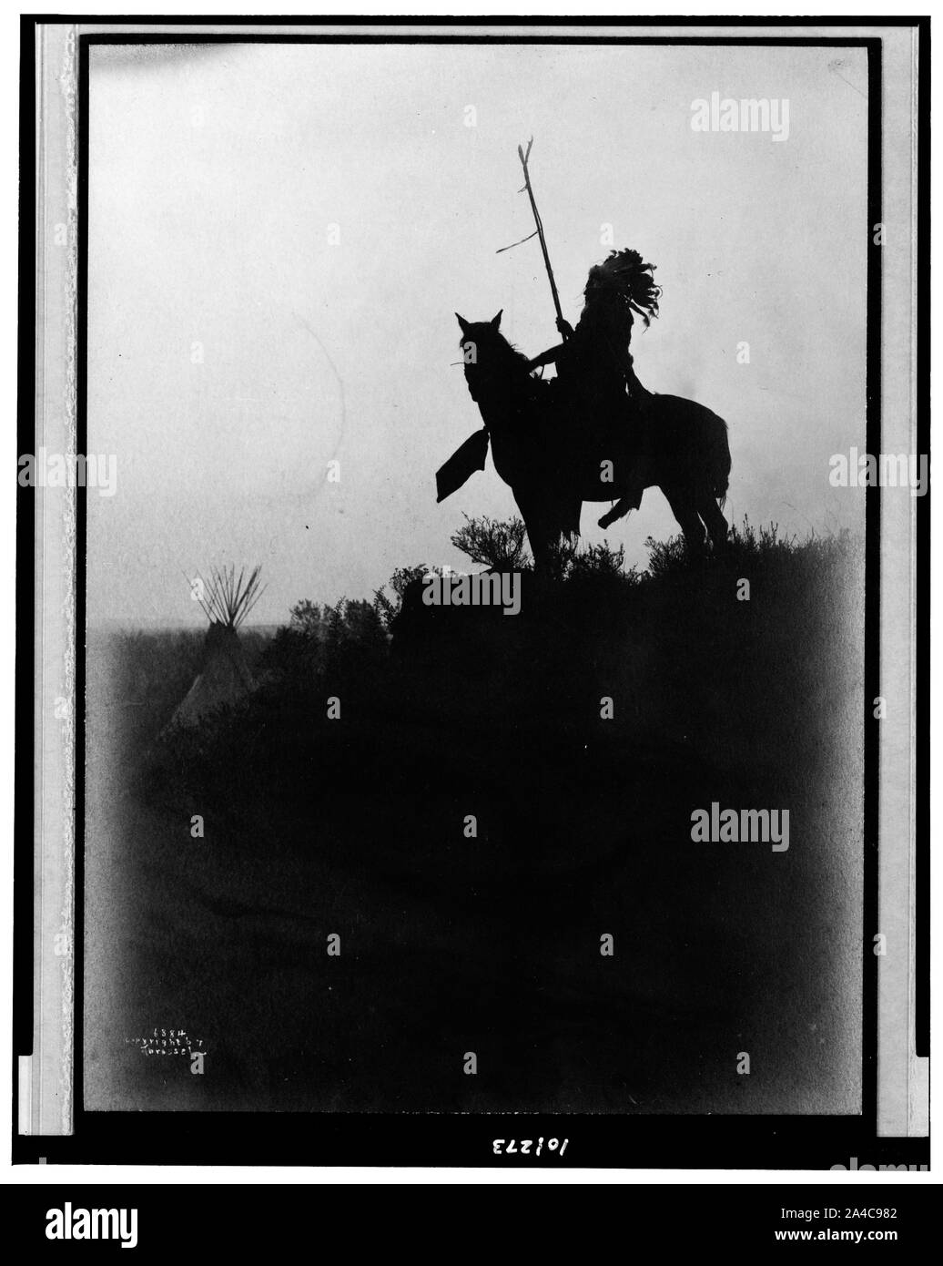 Sentinel Cut Out Stock Images & Pictures - Alamy