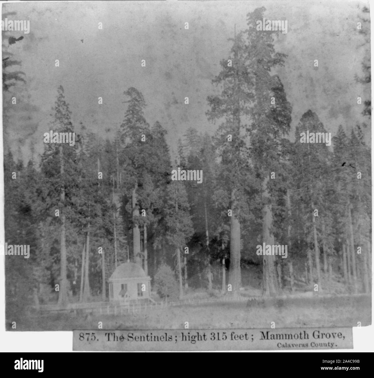 Sentinels for safety hi-res stock photography and images - Alamy