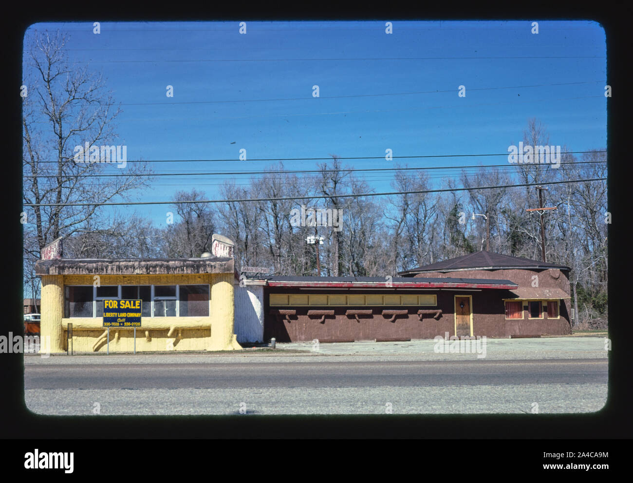 Stump cafe hi-res stock photography and images - Alamy